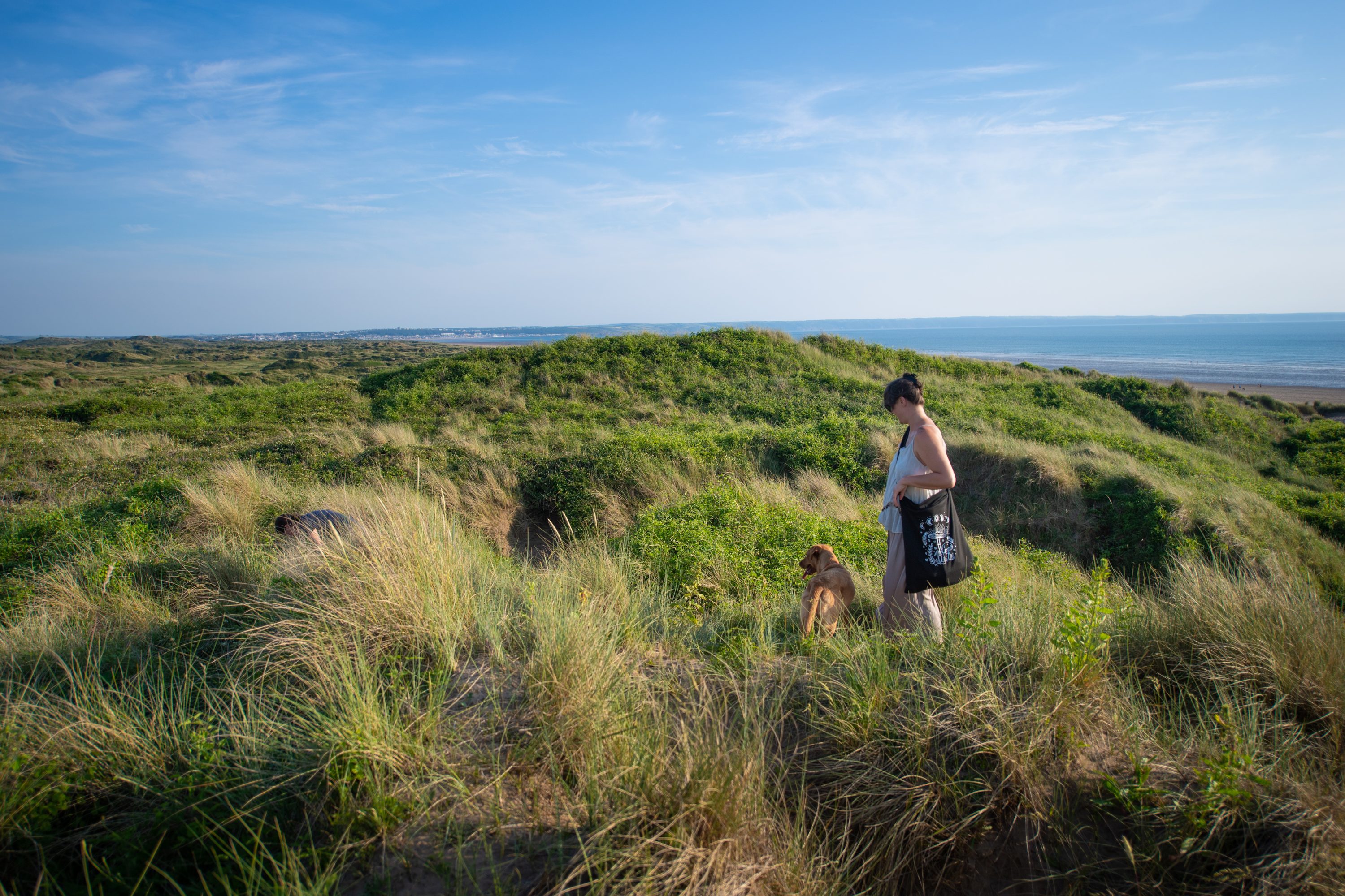 Braunton Burrows Dog Walking Guide - Saunton Beach Villas